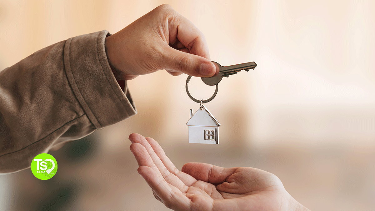 Timeshare Resale Scams [Top 4 to Avoid] | Timeshares Only